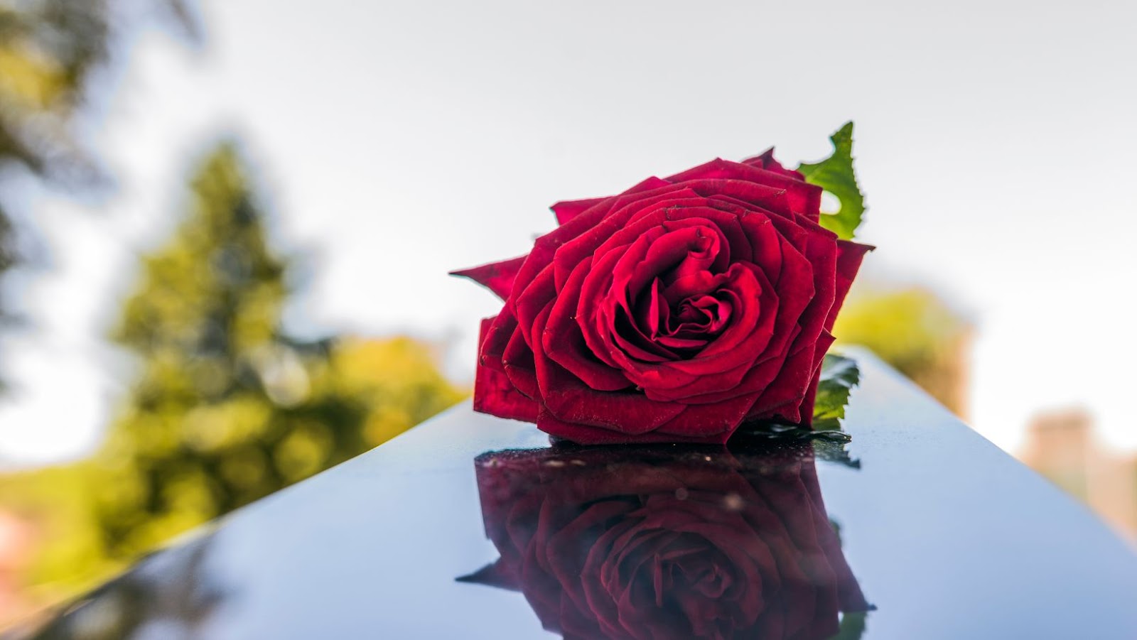 Honoring the Lives that Touched our Hearts: Stevens Funeral Home Wilson ...