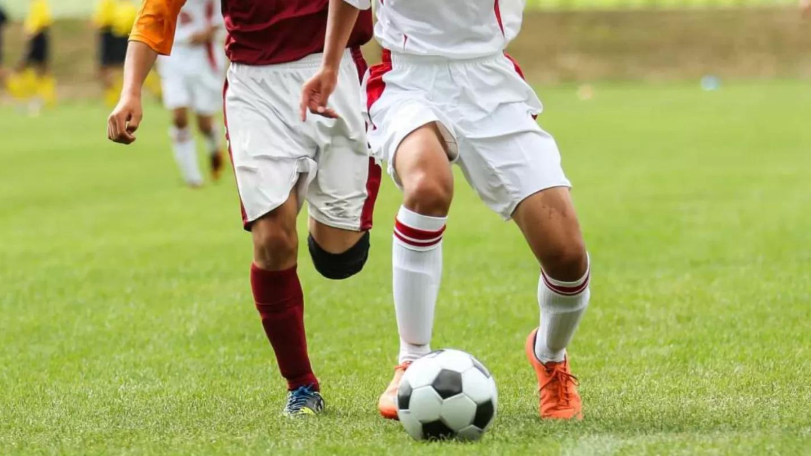 Understanding the Role of Pemain Depan Dalam Permainan Sepak Bola ...