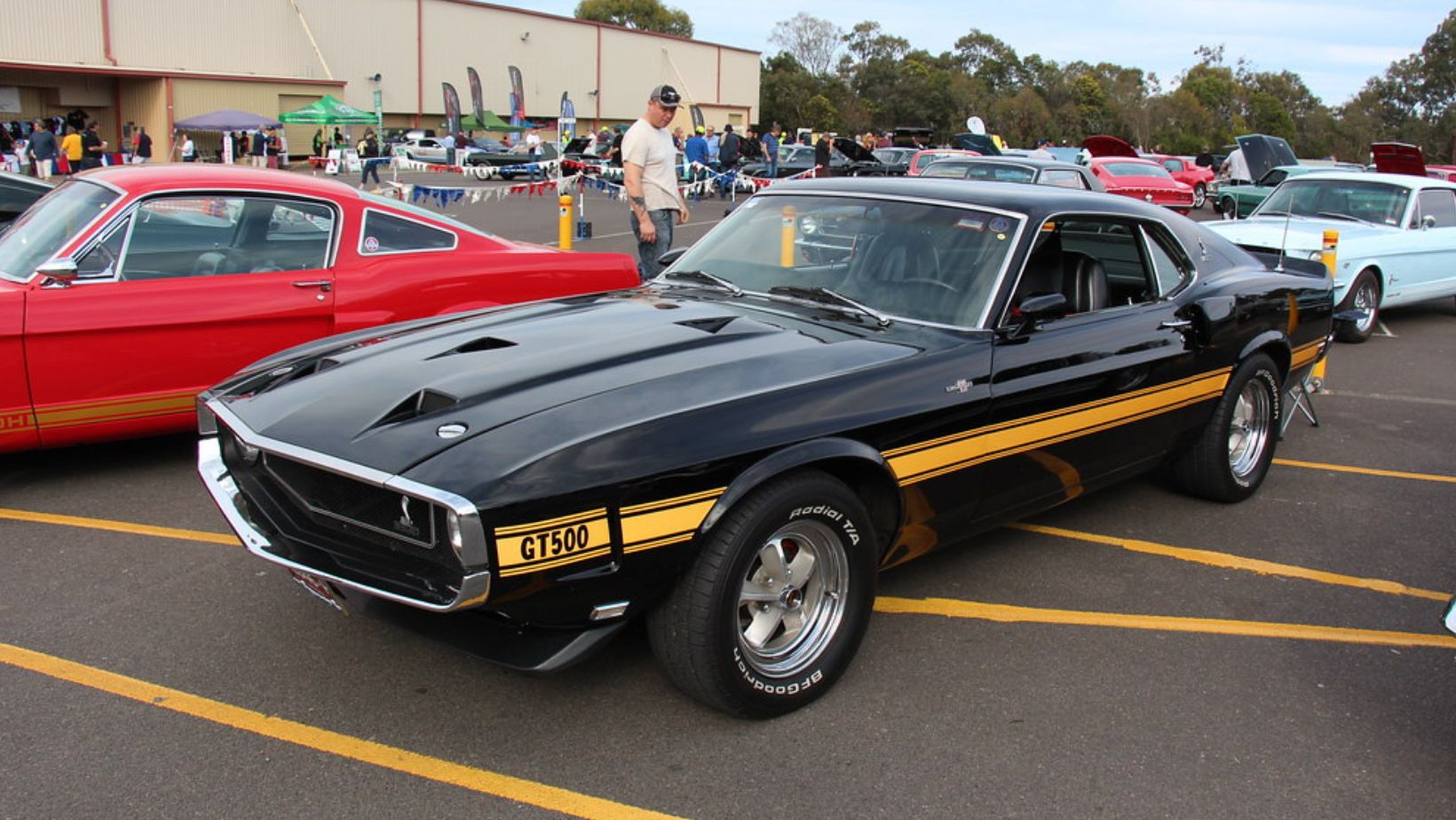Exploring the Legacy of Iconic Shelby:-jbmpx-mu1w= Mustang Models ...